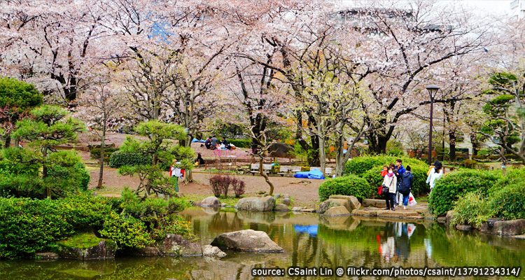 สวนสุมิดะ - Sumida Park｜เว็บไซต์ท่องเที่ยวญี่ปุ่นสำหรับคนไทย｜Talon Japan