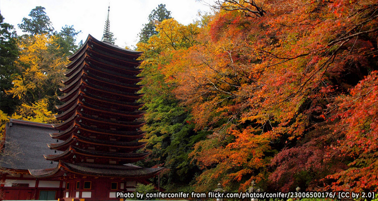 ศาลเจ้าทานซาน Tanzan Shrine｜เว็บไซต์ท่องเที่ยวญี่ปุ่นสำหรับคนไทย｜Talon ...