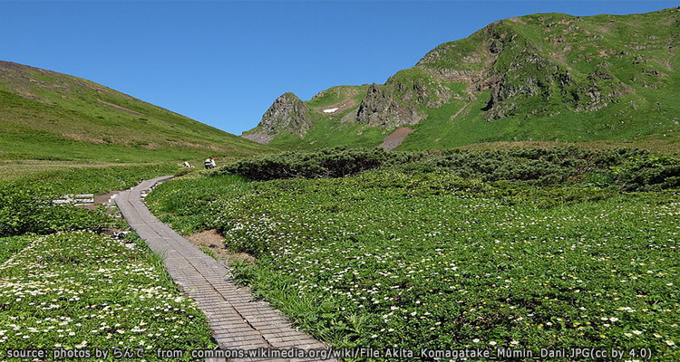 ภูเขาอากิตะ โกมางะทาเกะ Mount Akita-Komagatake｜เว็บไซต์ท่องเที่ยว ...