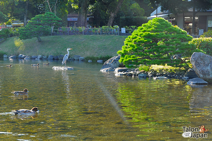 สวนซุยเซนจิ Suizenji Koen｜เว็บไซต์ท่องเที่ยวญี่ปุ่นสำหรับคนไทย｜Talon Japan